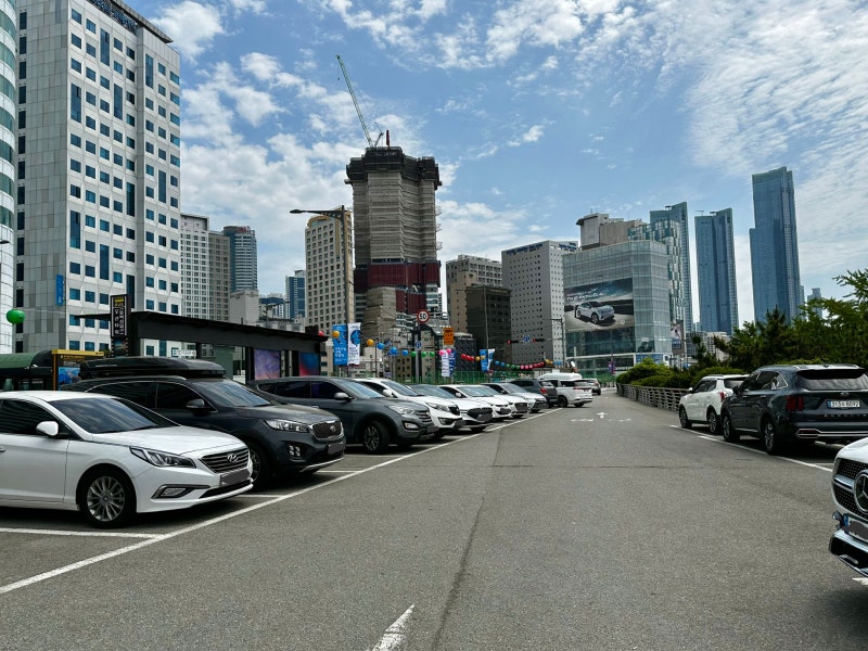 부산 해운대 송림공원 수국 개화 상황 위치 주차 네이버 블로그