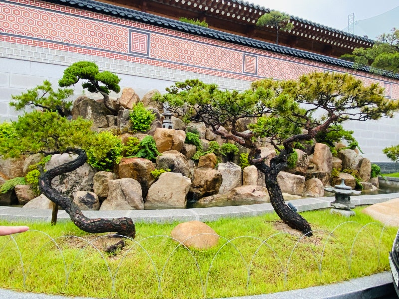 김포 고기 맛집 풍무동 가천린포크 예약 룸식당 가격 주차 등 네이버 블로그