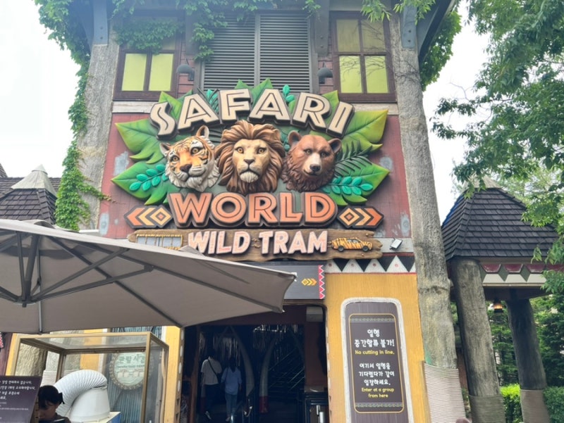 용인 에버랜드 큐패스 플랜잇 가격 감성 교복 티익스프레스 사파리월드 네이버 블로그