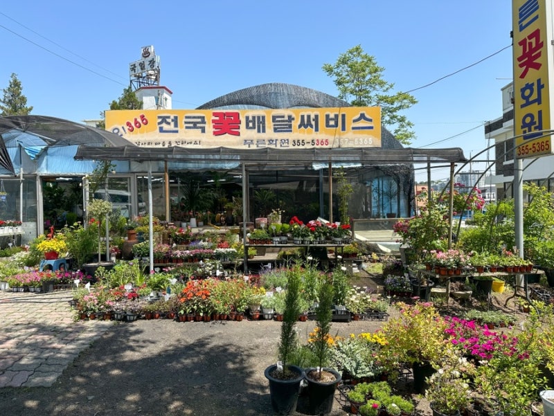 당진 꽃집 푸른꽃화원 화환과 꽃배달까지 가능한 곳 네이버 블로그