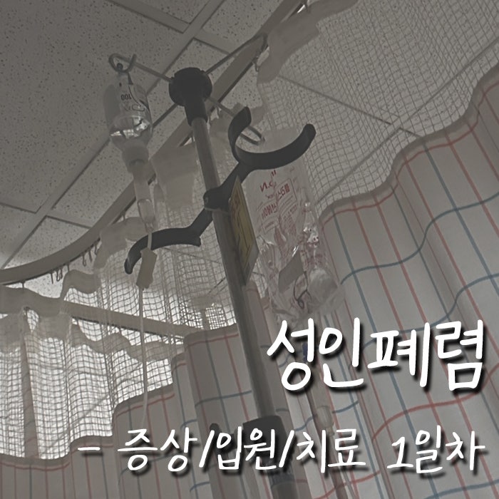 성인 폐렴으로 수원 동수원병원 입원한 후기 성인폐렴증상 성인폐렴입원 입원치료과정 1일차 네이버 블로그