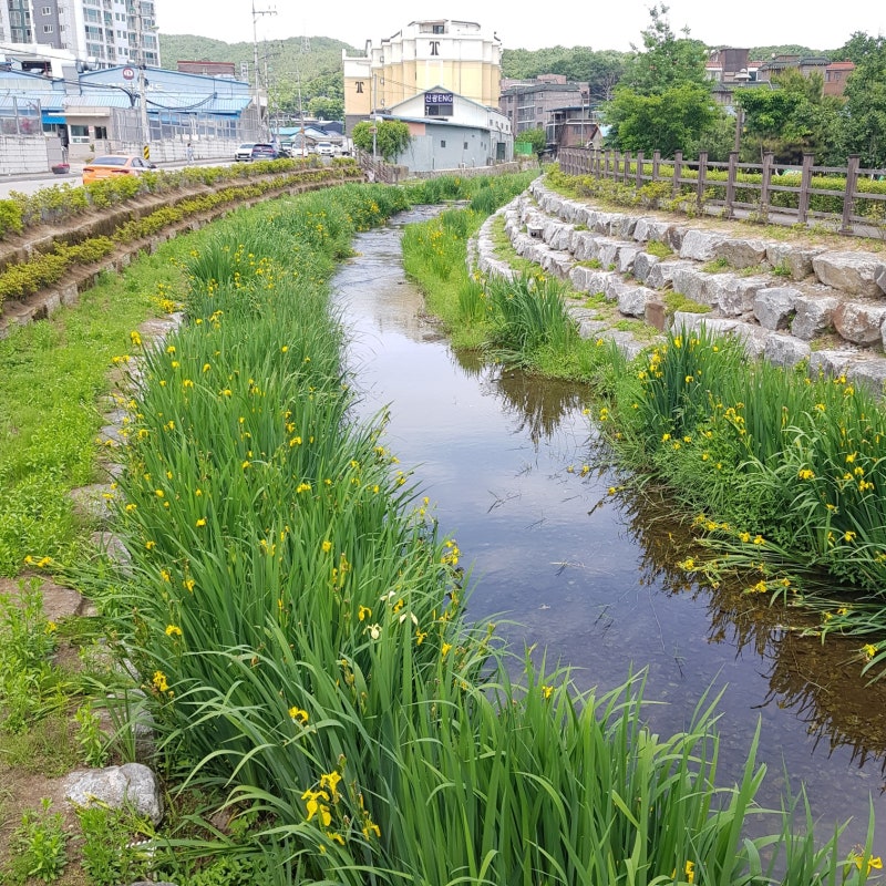양주 덕계역 맛집 나만 알고 싶은~ 내돈내산 청년농부쌈밥 Plus 덕계근린공원 네이버 블로그
