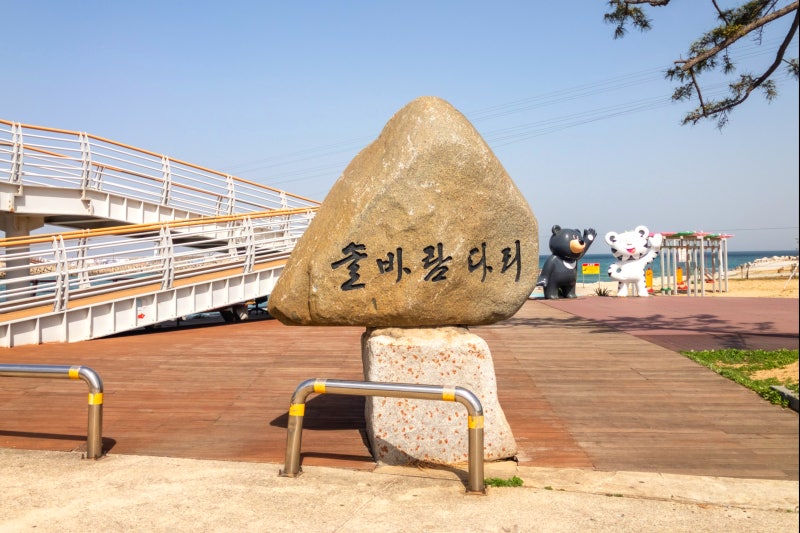 강원도 강릉 짚라인 아라나비 강릉바다 남항진해변 강릉바우길 네이버 블로그