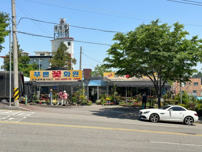 당진 꽃집 푸른꽃화원 화환과 꽃배달까지 가능한 곳 네이버 블로그