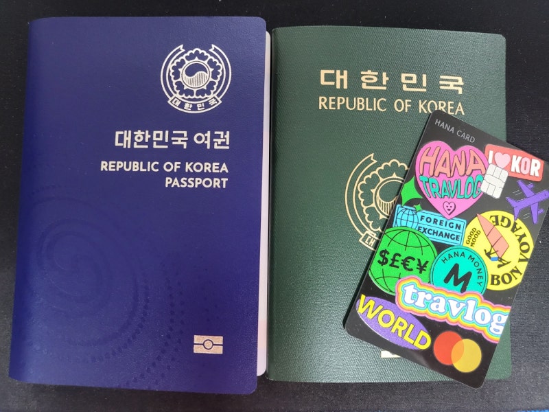 여권 영어 이름 변환기 영문 이름 표기법 영문이름 변경 사유 직접 해본 후기 네이버 블로그