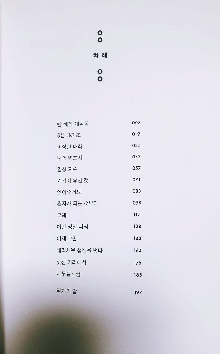 체리새우 비밀글입니다 황영미 줄거리 독후감 청소년 추천 도서 아님말고 어쩌라고 정신 네이버 블로그