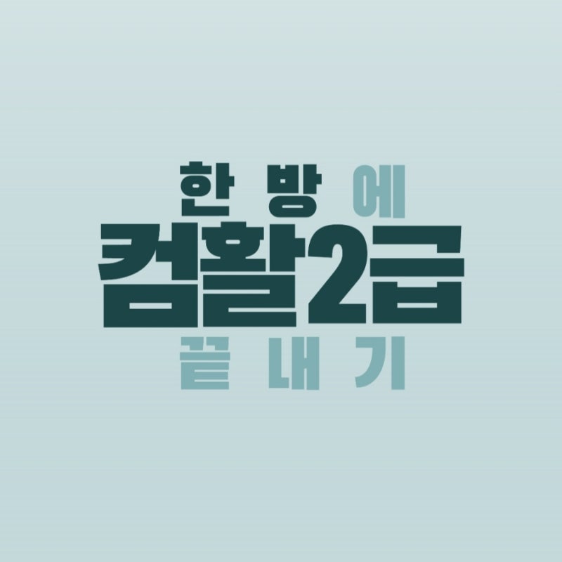 컴퓨터활용능력 2급 필기 하루 벼락치기 1일의 전사 네이버 블로그