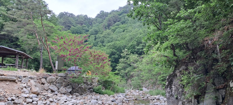 평생교육시설 설치 신고 네이버 블로그
