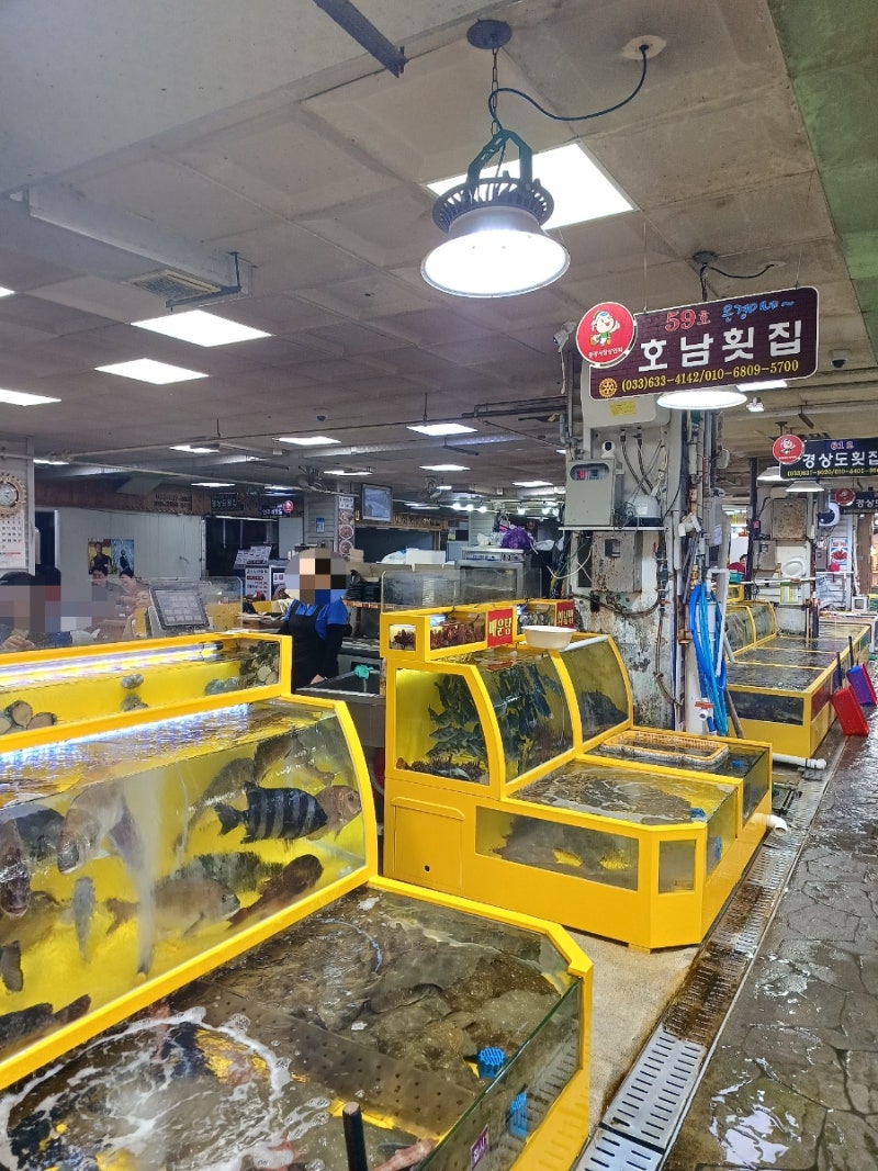 강원도 고성 금강산콘도속초해수욕장 엄지네 포장마차 속초점 주차속초관광수산시장 대게시세528 동탄 인도커리 수엠부5