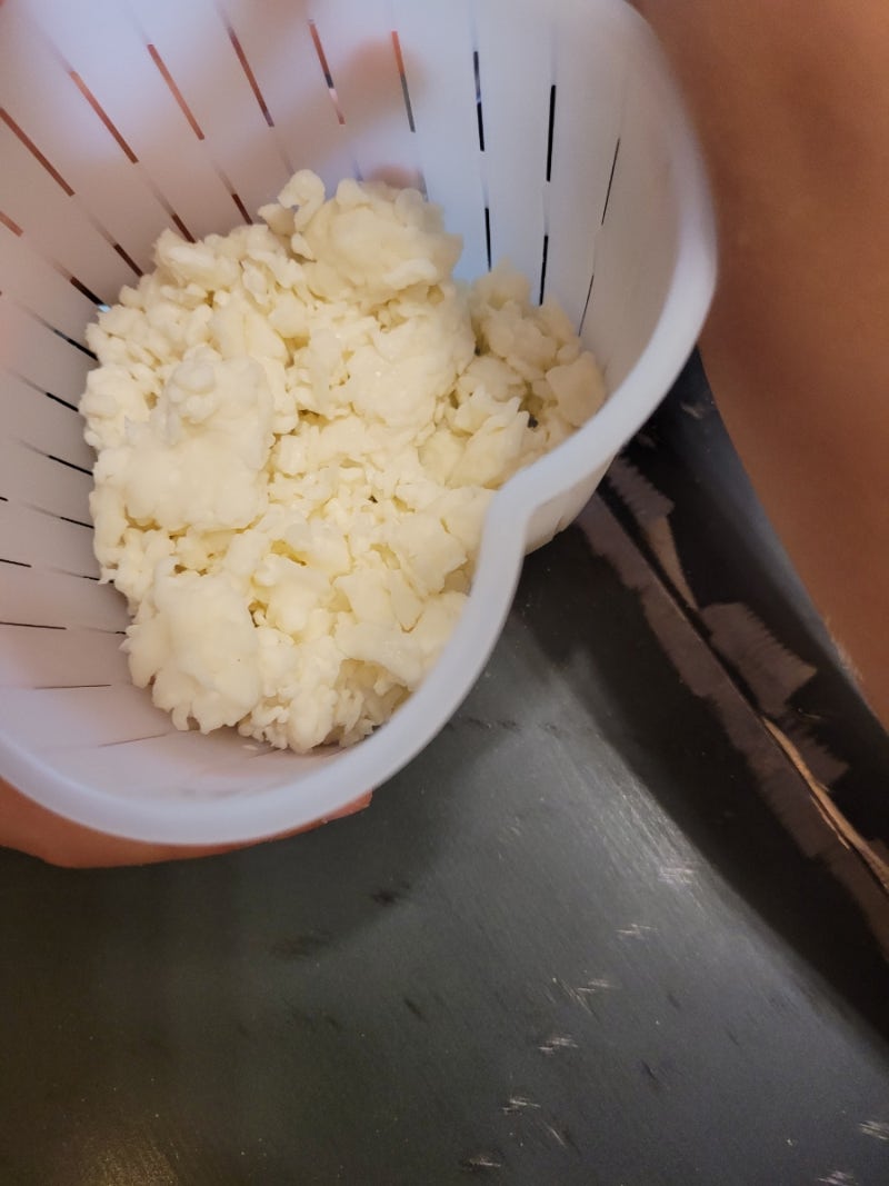 울산 아이랑 가볼만한 곳 유진목장 피자만들기 체험 네이버 블로그