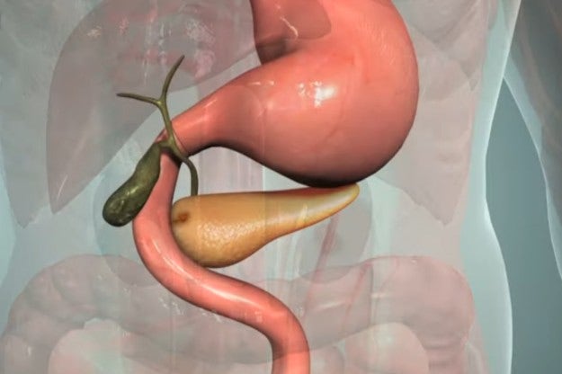 십이지장 궤양 증상 및 치료 식사요법 명치아래통증 속이타는느낌 네이버 블로그