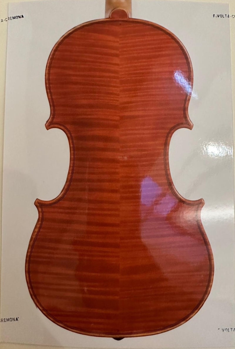 Fabio Volta Violin 2009 : 네이버 블로그