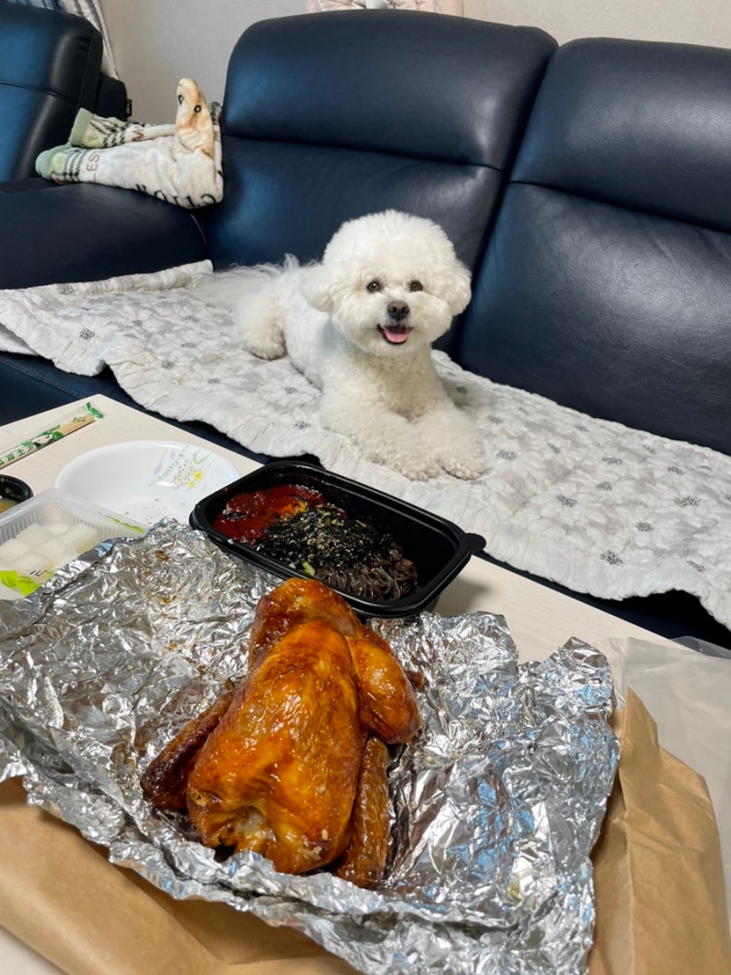 동탄역 맛집 기름기 쫙뺀 찹쌀 전기구이통닭 이한량통닭 동탄역점 네이버 블로그