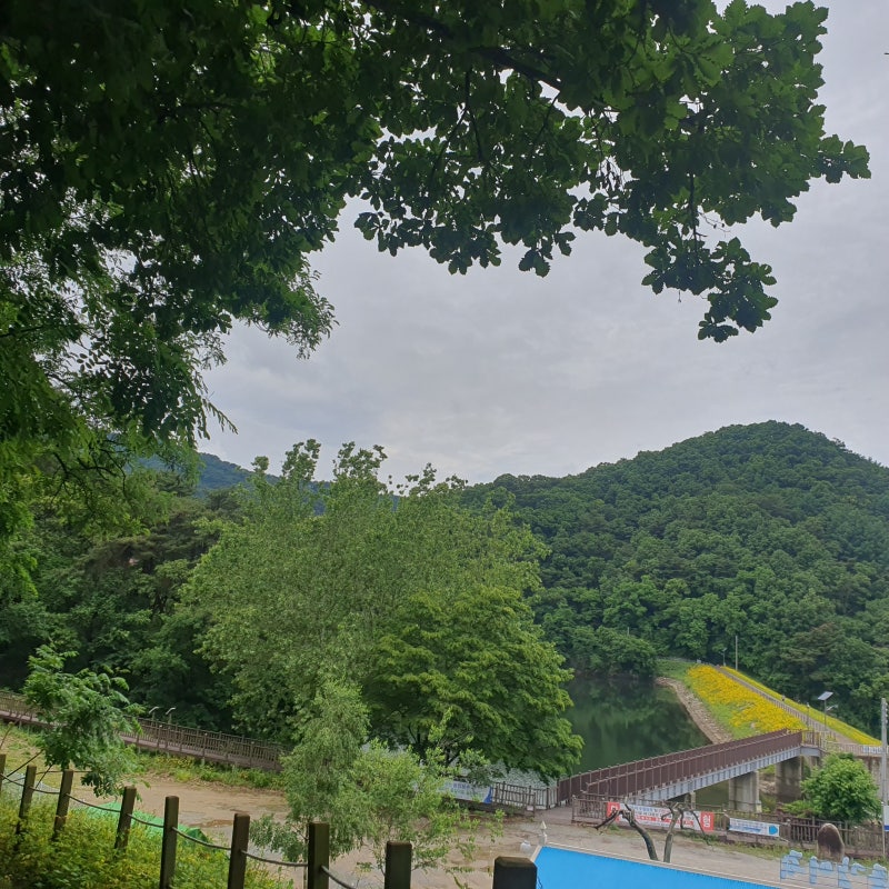 웰리힐리워터파크도 즐기면서 강원도횡성성우타운하우스에서 일주일 살기 한달살기 촌캉스 추천 네이버 블로그