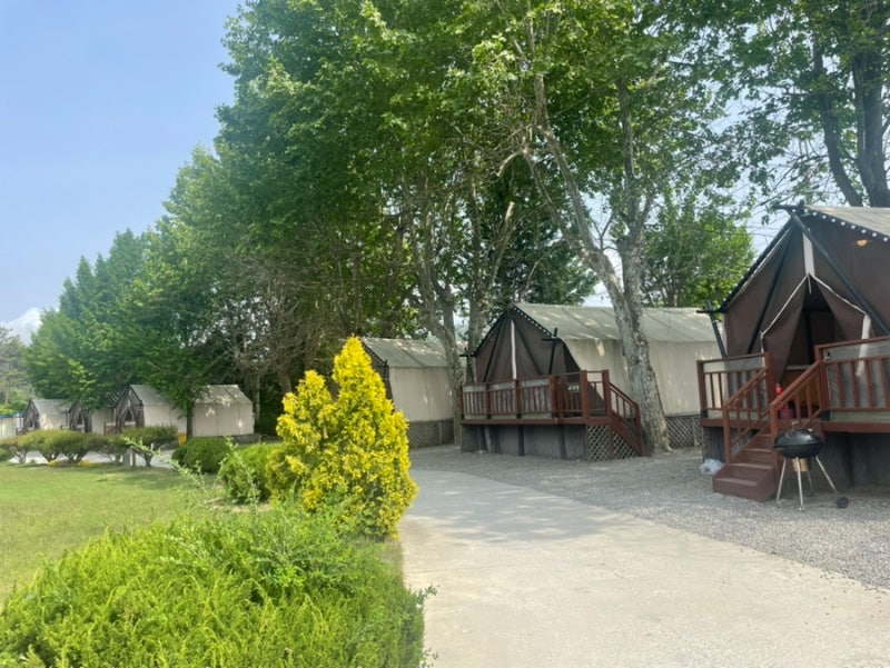 공주 신풍면 대전세종 근교 글램핑장 추천 공주 북캠프 글램핑후기 네이버 블로그