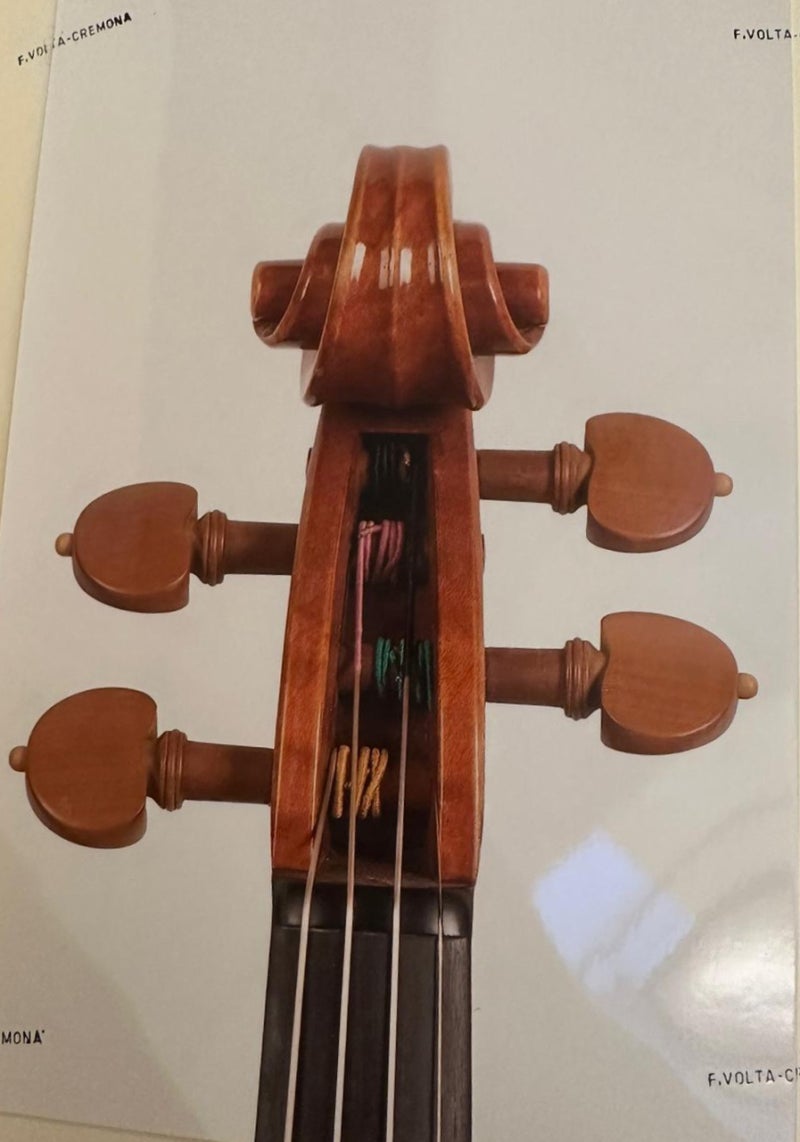 Fabio Volta Violin 2009 : 네이버 블로그