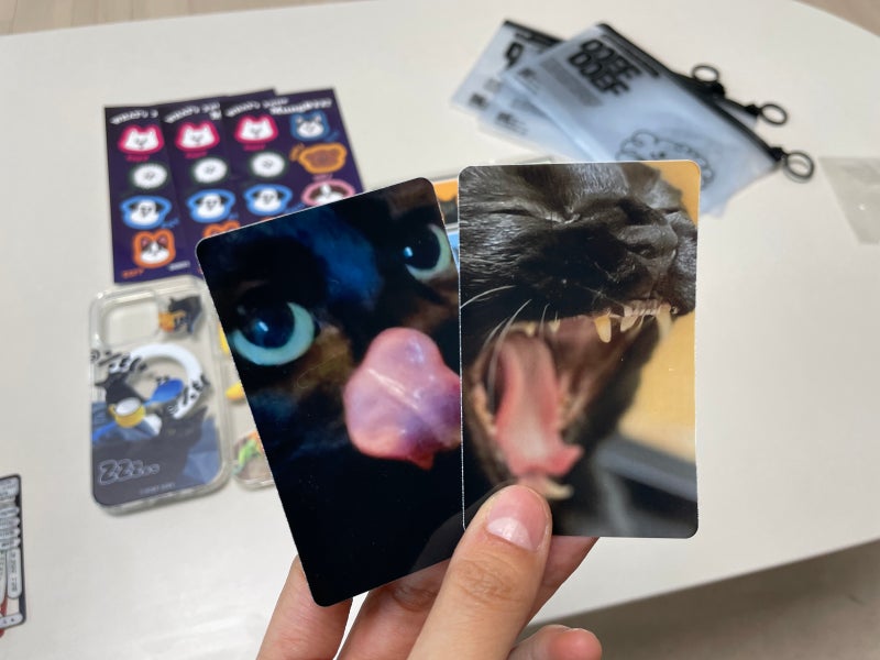 반려동물 커스텀 폰케이스 제작 후기(feat.도프도프 DOEF DOEF) : 네이버 블로그