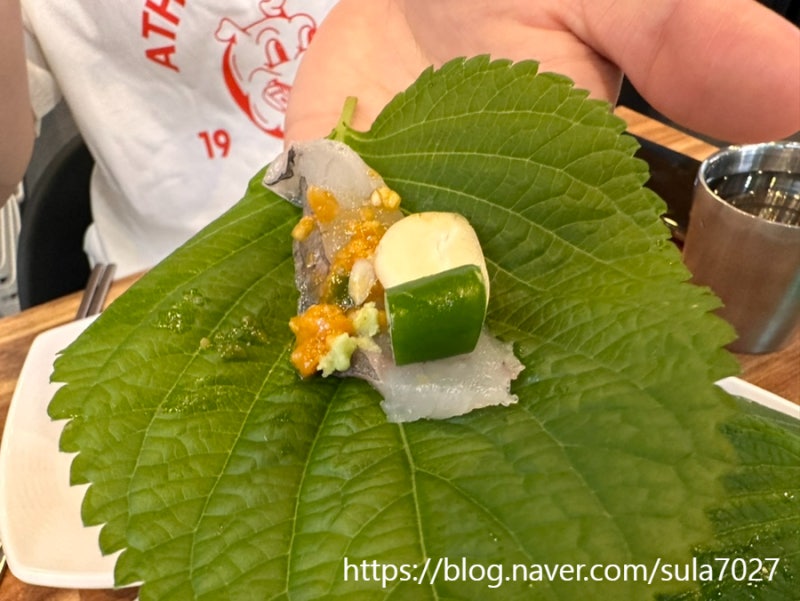 수원시청역맛집 회가 신선한 못난이 세꼬시 회 And 쭈꾸미 다녀온 후기 네이버 블로그