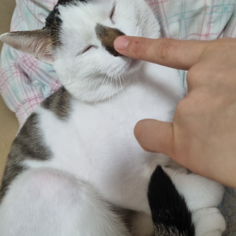 6월1일 유월아 반갑고 또 가보자고 ~~! : 네이버 블로그