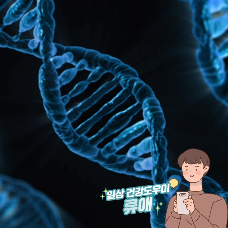 칸디다질염 증상 및 원인 치료 여성 생식기 가려움 칸디다질염약 플로코나졸클로트리마졸 질정 네이버 블로그