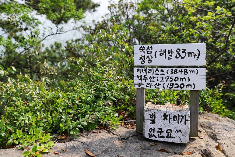 전남 고흥 가볼만한곳 고흥 쑥섬애도 나로도~고양이섬 섬트레킹 네이버 블로그