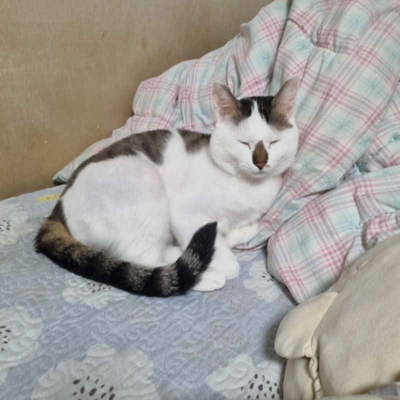 6월1일 유월아 반갑고 또 가보자고 ~~! : 네이버 블로그