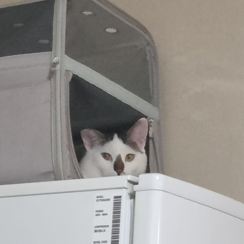 6월1일 유월아 반갑고 또 가보자고 ~~! : 네이버 블로그