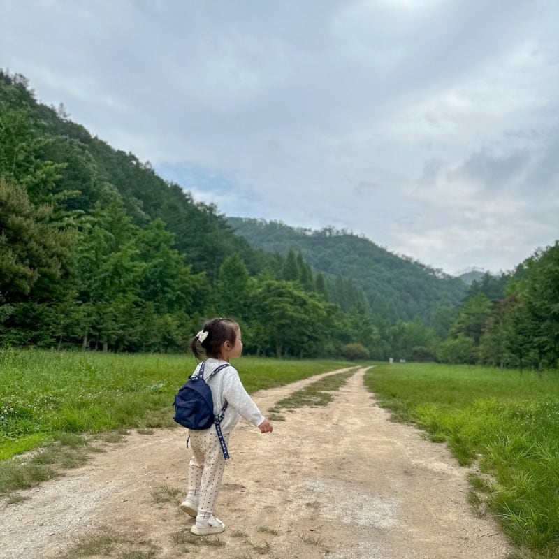 논산 온 빛 자연 휴양림 예약 그해우리는 촬영지 방문 팁 네이버 블로그