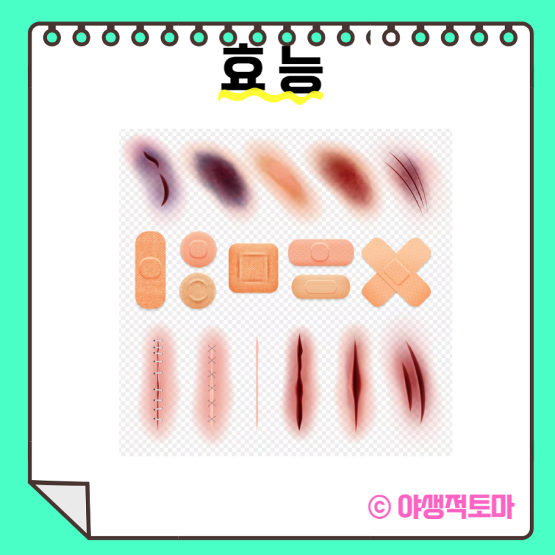 마데카솔 총정리 복합마데카솔 마데카솔 분말 마데카솔케어 마데카솔겔 성분 작용기전 효능 부작용 네이버 블로그