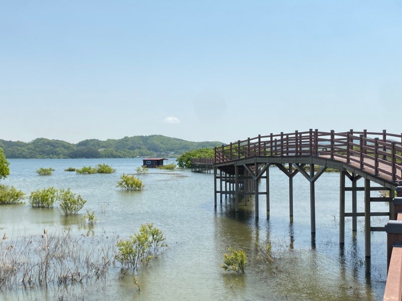 충남 예산 예당호 출렁다리 가야하는 이유 의외의 주변 볼거리 주말나들이 가볼만한곳 네이버 블로그