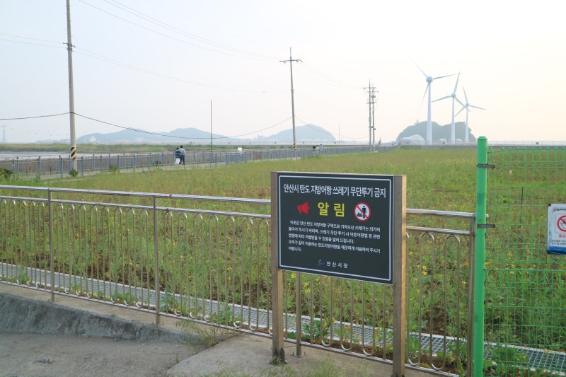 안산 가볼만한곳 탄도항 누에섬 물때 시간표 뚜벅이 가는 법 놀거리정리 네이버 블로그