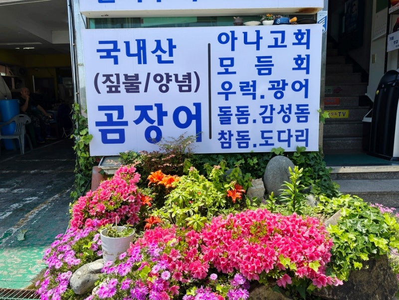 사계절내내 멸치회 먹을수있는 남항횟집 기장연화리맛집 부산롯데월드맛집 네이버 블로그