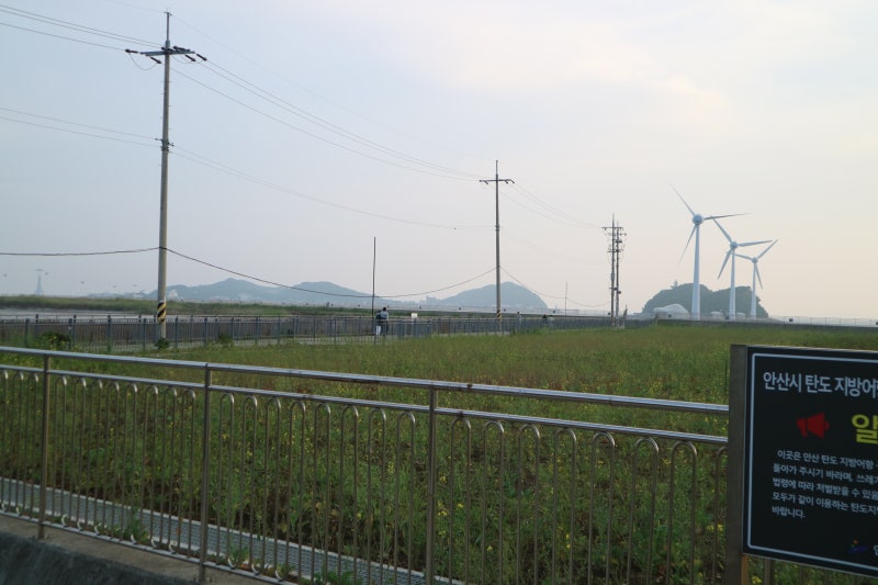 안산 가볼만한곳 탄도항 누에섬 물때 시간표 뚜벅이 가는 법 놀거리정리 네이버 블로그