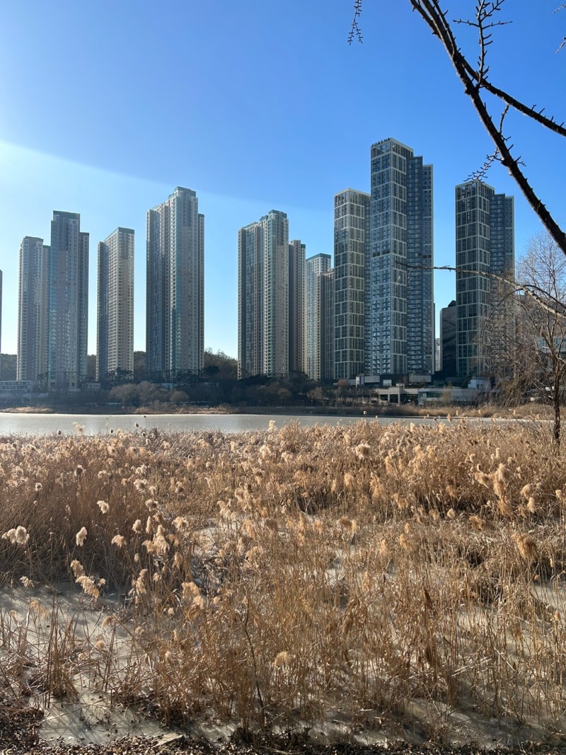 광교더샵레이크파크 오피스텔 6개월 살아본 후기 네이버 블로그