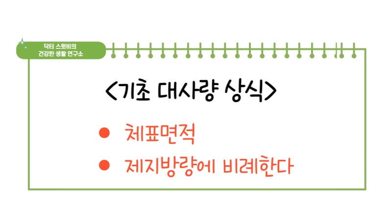기초대사량 계산 기초대사량에 영향을 미치는 요소 네이버 블로그