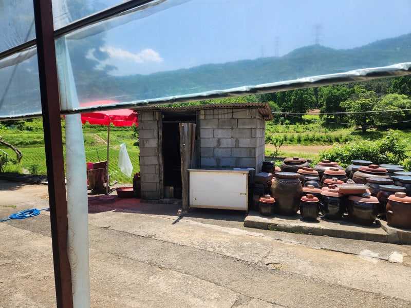 마장호수출렁다리 맛집 시골보리밥집 보광사 파주광탄면 맛집 네이버 블로그