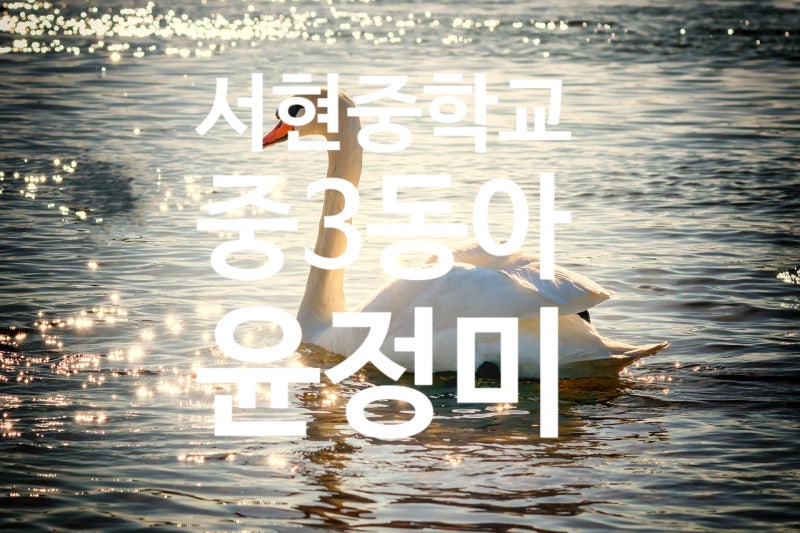 서현중학교 기말고사대비 중3 동아 윤정미 3과 본문 네이버 블로그