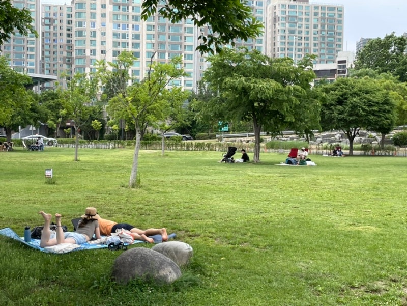 이촌 한강공원 라면편의점 라면기계부터 가격까지 총정리ft돗자리 네이버 블로그