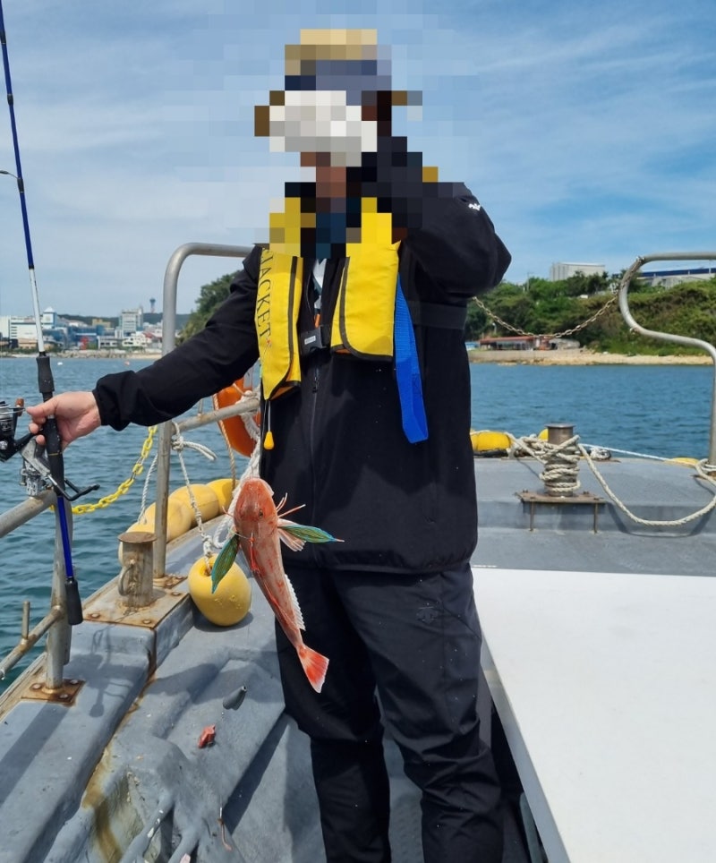 울산선상체험낚시울산선상낚시체험 울산배낚시 울산생활낚시 울산선상낚시 울산초보낚시 울산바다낚시 울산가족체험 울산관광