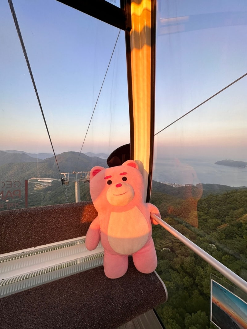 국내여행 현지인과 함께하는 거제도 여행 1일차 거제도신상카페 몰리힐스 추천정보♡ 네이버 블로그