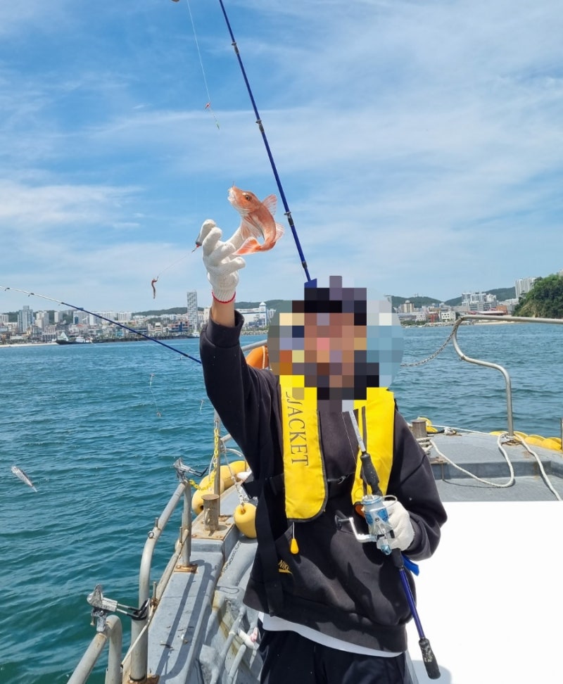 울산선상체험낚시울산선상낚시체험 울산배낚시 울산생활낚시 울산선상낚시 울산초보낚시 울산바다낚시 울산가족체험 울산관광