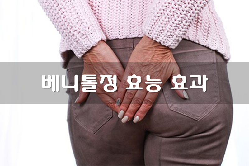 베니톨정 500mg 부종 치질 하지정맥류 베니톨 효능 복용법 부작용 가격 네이버 블로그