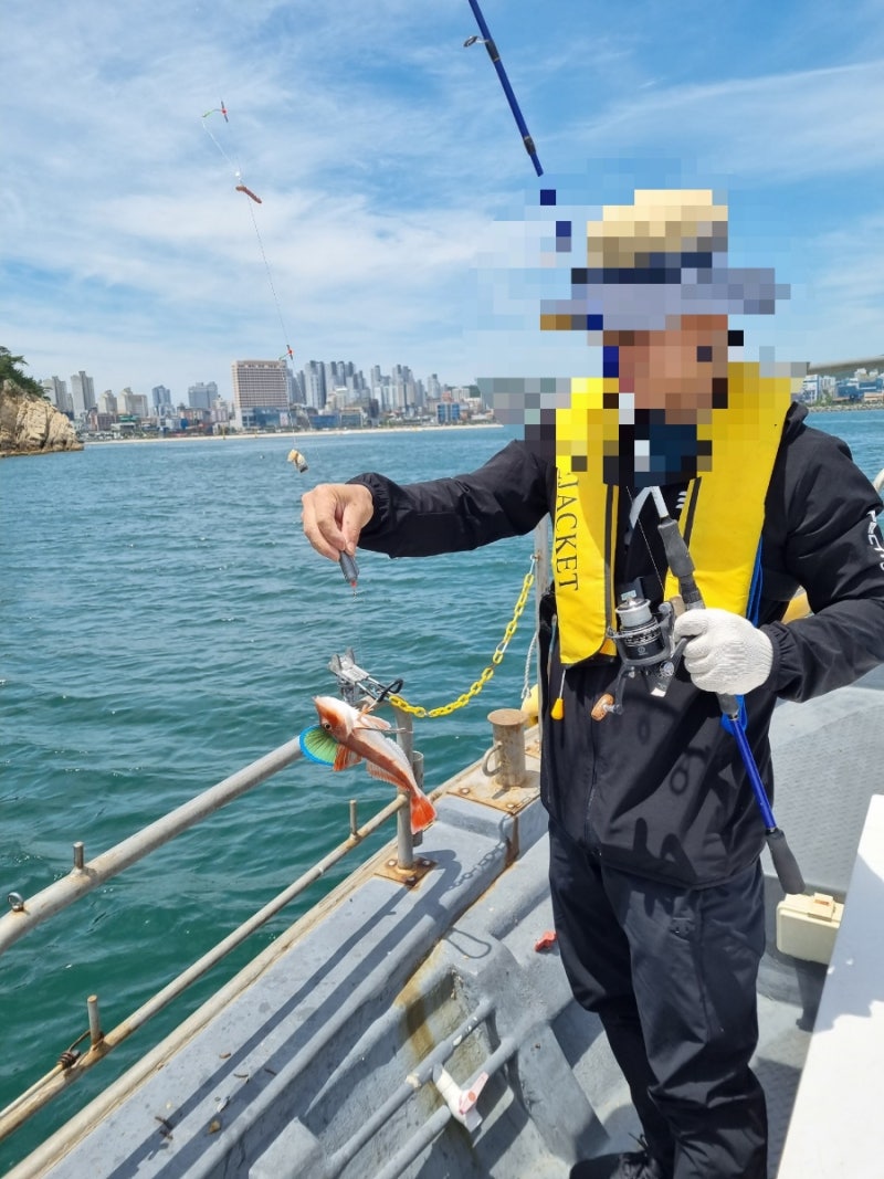 울산선상체험낚시울산선상낚시체험 울산배낚시 울산생활낚시 울산선상낚시 울산초보낚시 울산바다낚시 울산가족체험 울산관광