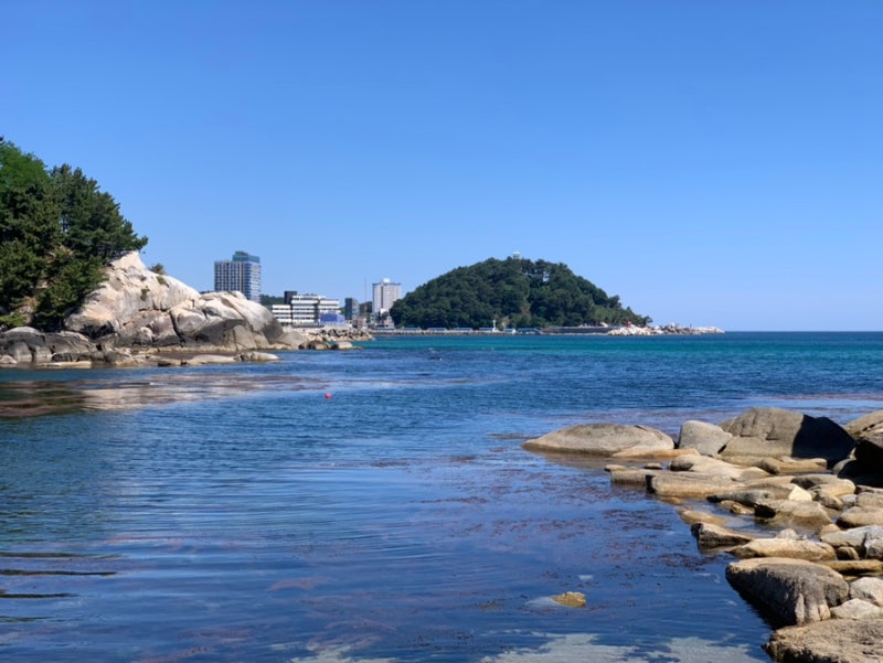 강원도 양양 가볼만한곳 여행코스 휴휴암 강원도 사찰 입장료 시간 주차 물고기 네이버 블로그