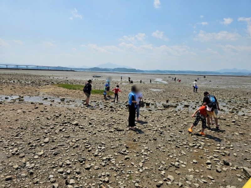 사천 아이랑 갯벌 체험 , 체험 전 준비물 및 물때 보는 방법 : 네이버 블로그