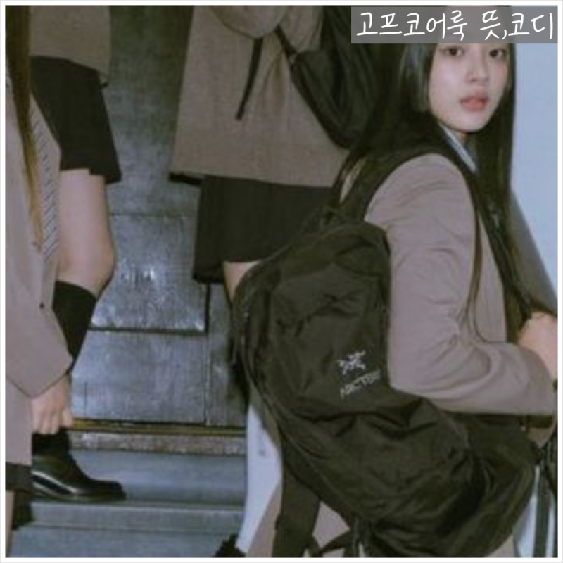 고프코어룩 뜻 아크테릭스 추천 브랜드 주우재 바람막이 코디 남자 여자 코디 네이버 블로그
