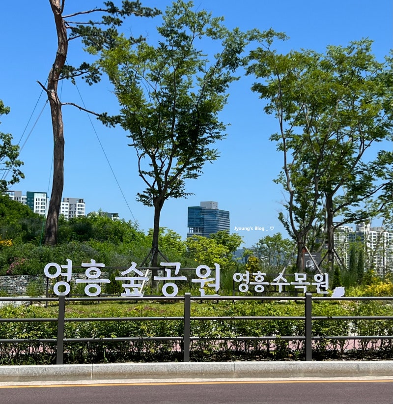 수원 가볼만한곳 영흥수목원 주차 입장료 영흥숲공원 네이버 블로그