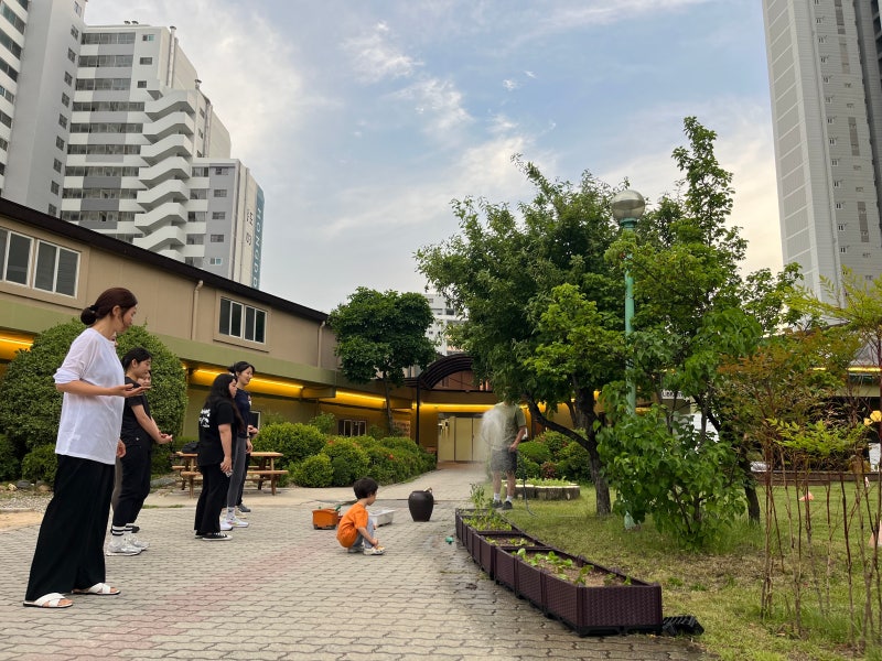 바디플러스 미니텃밭 With 야외그룹pt회원님들 대전동구피티 네이버 블로그