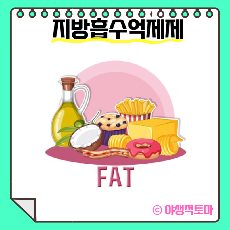 비만약 알룬정 Vs 아이미산 성분 작용기전 효능 부작용 Feat 일반의약품 네이버 블로그