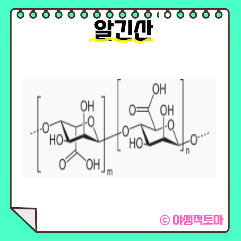 비만약 알룬정 Vs 아이미산 성분 작용기전 효능 부작용 Feat 일반의약품 네이버 블로그